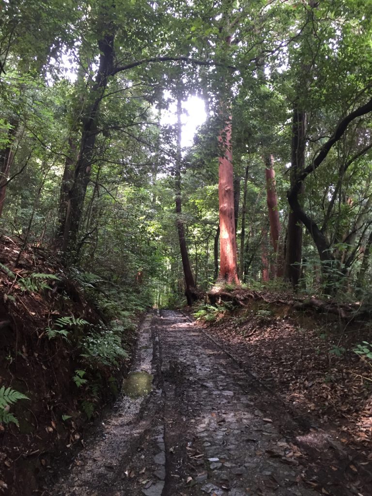 Ancient Walks on Japan’s Oldest Road