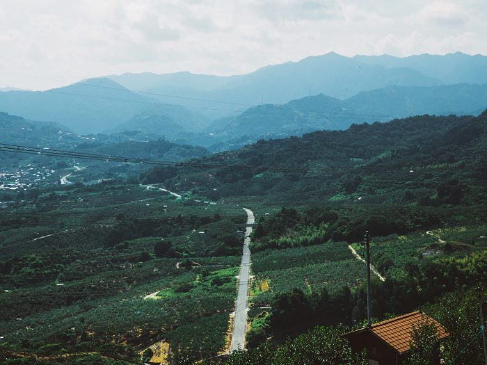 The Journey to Koya-san